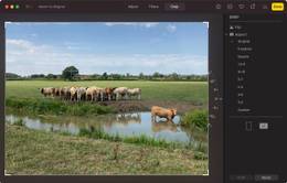 Info Handphone How To Crop A Picture On Mac MakeUseOf